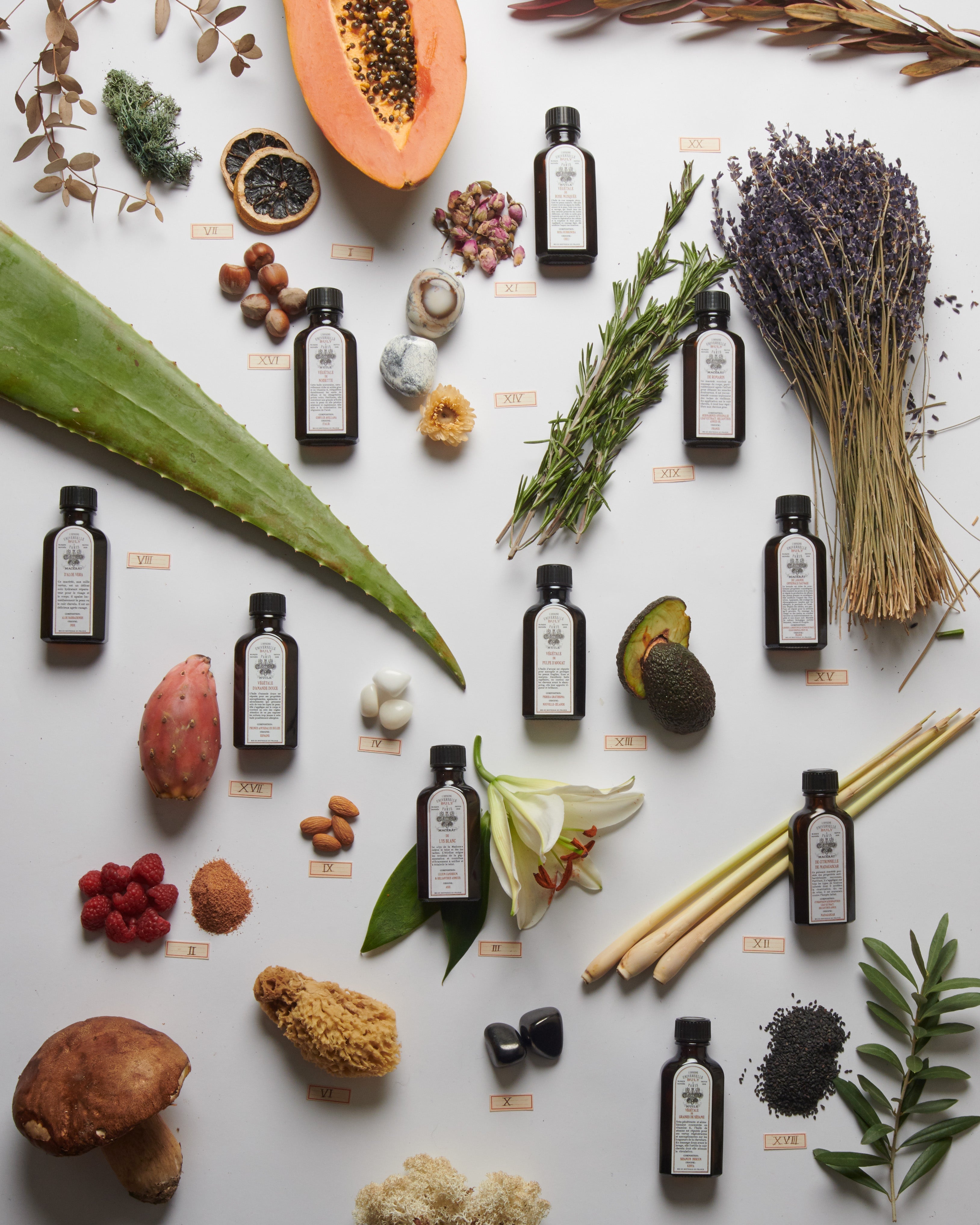 The virtuous trinity: plant oils, macerates and butters – Officine ...