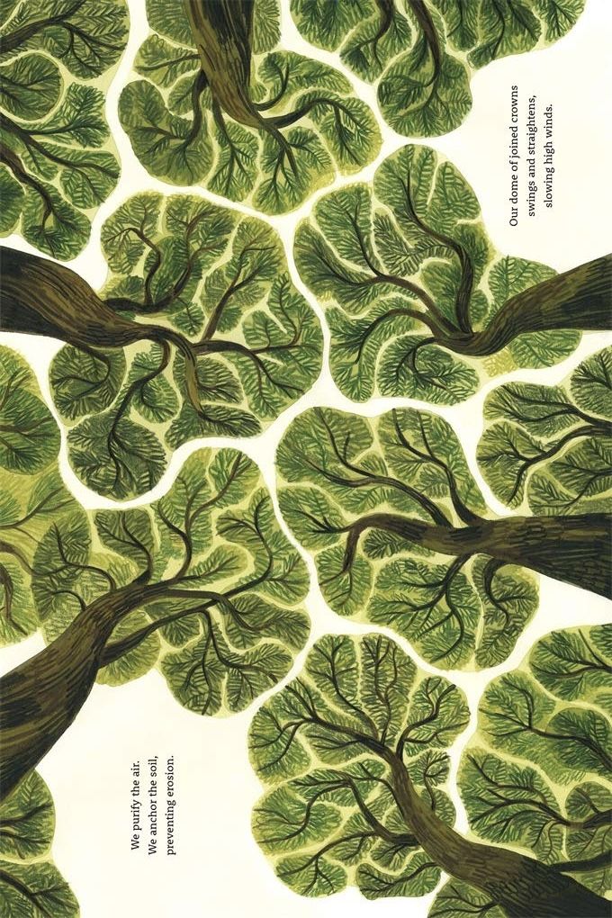 Bulythèque – Page 3 – Officine Universelle Buly